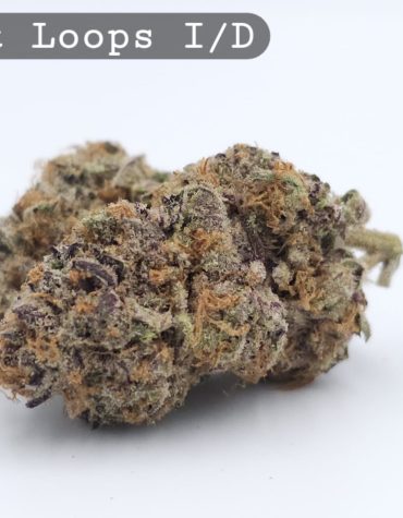 Bud - The Dope Warehouse