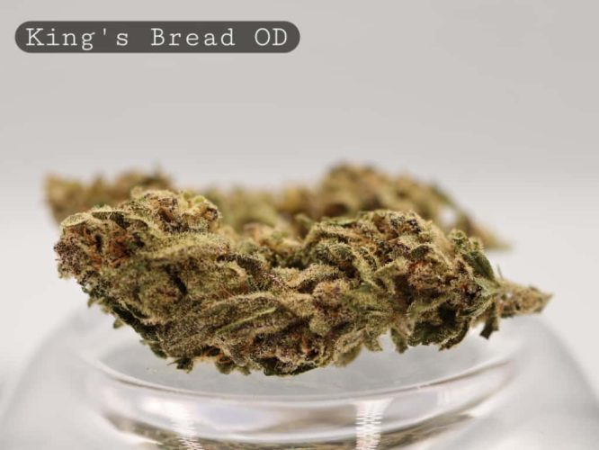 Outdoor King’s Bread 2g - The Dope Warehouse